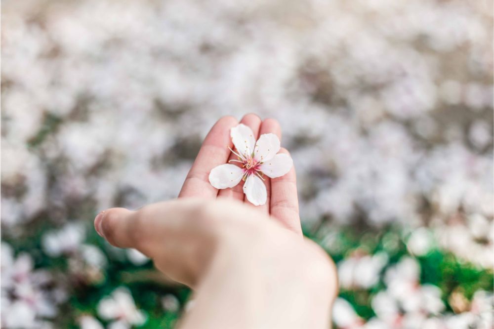 How to Meditate: Meditation 101 for Beginners | Mindfulness.com